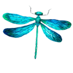 Dragonfly Graphics | Screen Printing & Embroidery in Gainesville