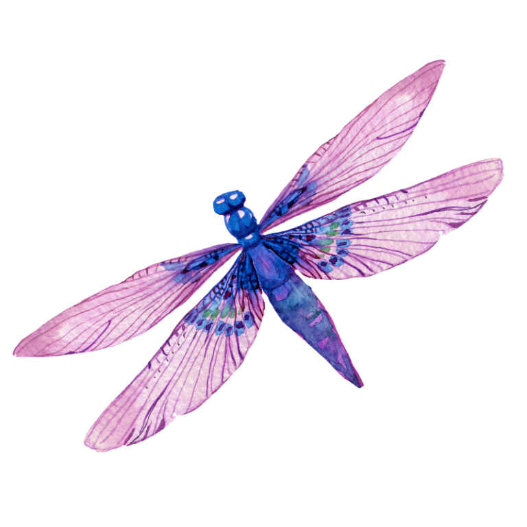 Dragonfly Graphics | Screen Printing & Embroidery in Gainesville