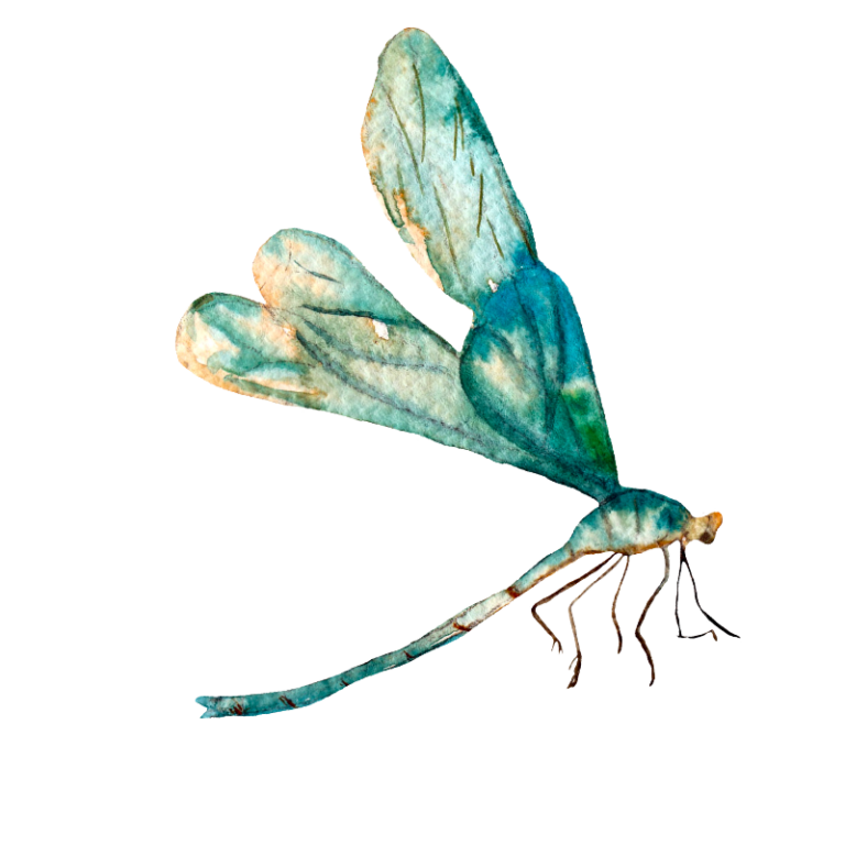 Dragonfly Graphics | Screen Printing & Embroidery in Gainesville