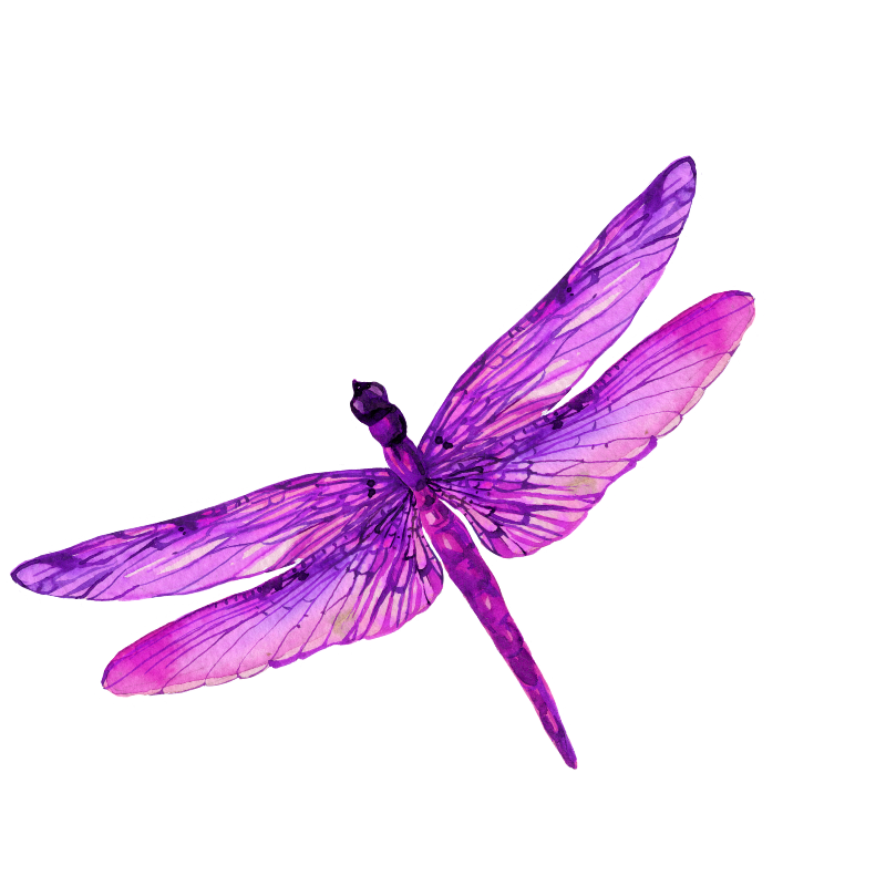 Dragonfly Graphics | Screen Printing